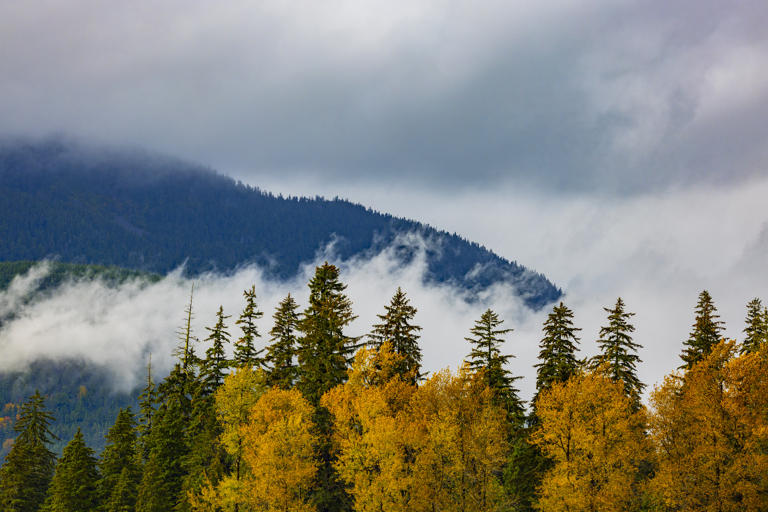 Vendors | Process your invoice efficiently using OpenInvoice